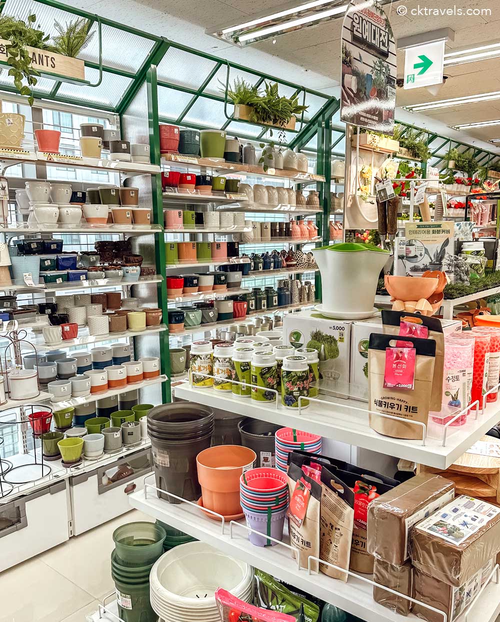 Daiso in Myeongdong - 12 Floors of Shopping in Seoul - South Korea Hallyu